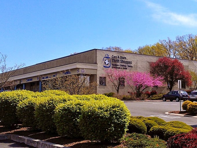 The unassuming exterior of Care & Share Thrift Shoppes belies the treasure trove waiting inside. Spring blooms add a cheerful welcome to bargain hunters.