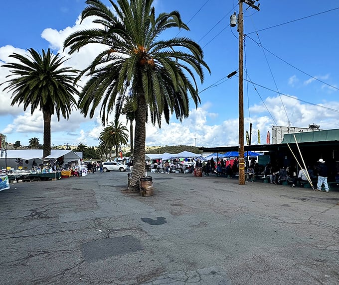 Towering palm trees stand sentinel over the bustling marketplace, nature's exclamation points saying "Something amazing happens here every weekend!"