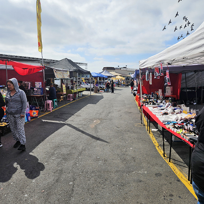 Rows of pop-up tents stretch into the distance, creating a maze of bargains waiting to be discovered.