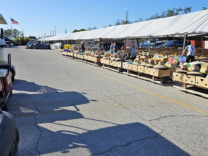 The outdoor marketplace stretches as far as the eye can see, with produce stands beckoning shoppers under Florida's brilliant blue sky.