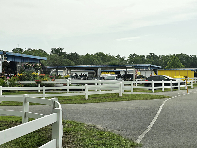 The Market of Marion welcomes visitors with its sprawling pavilions and white picket fences &ndash; like a county fair that decided to stick around all year long.