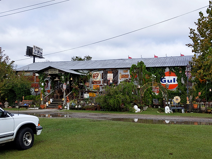 Find vintage signs and friendly deals! This huge Georgia market is a fun spot for treasure hunting.
