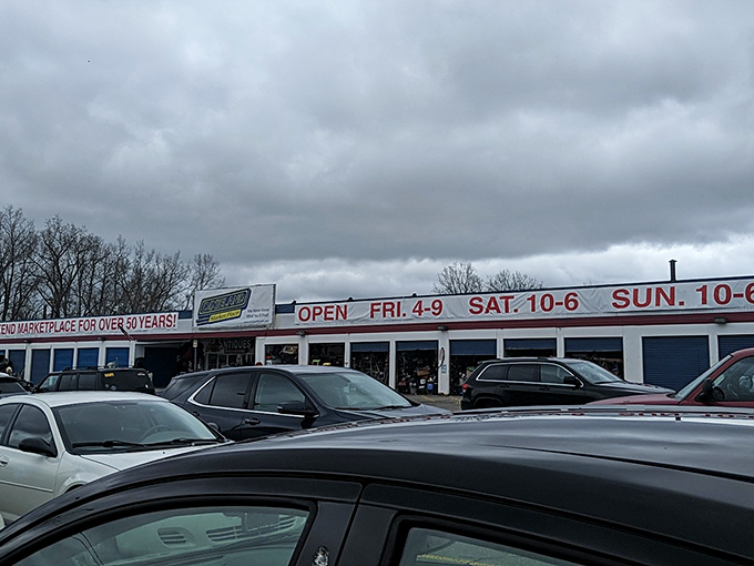 Michigan's weather may be unpredictable, but Dixieland's promise of indoor treasure hunting remains constant, rain or shine, under those iconic red letters.