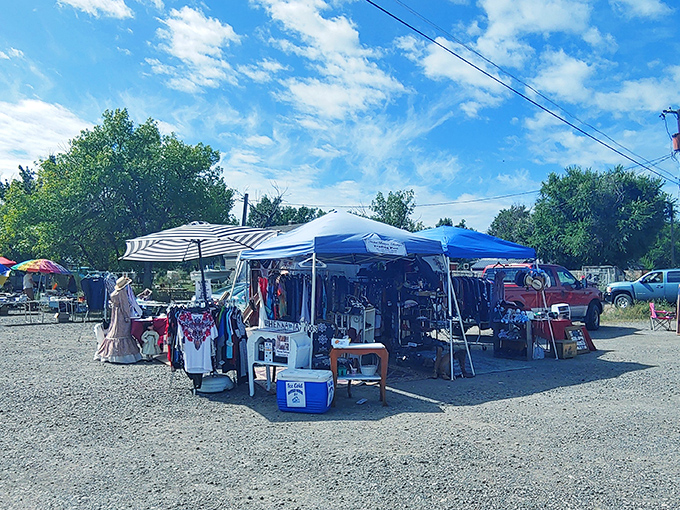 The treasure hunt begins! Colorful canopies dot the Roundup landscape like a bargain hunter's oasis under Montana's famous big sky.