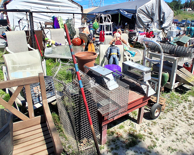 A treasure hunter's paradise where patio furniture meets Batman figurines &ndash; your backyard oasis awaits at bargain prices!