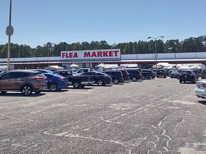 The iconic red and white sign beckons bargain hunters from miles around. On busy weekends, this parking lot transforms into a sea of vehicles carrying treasure seekers.