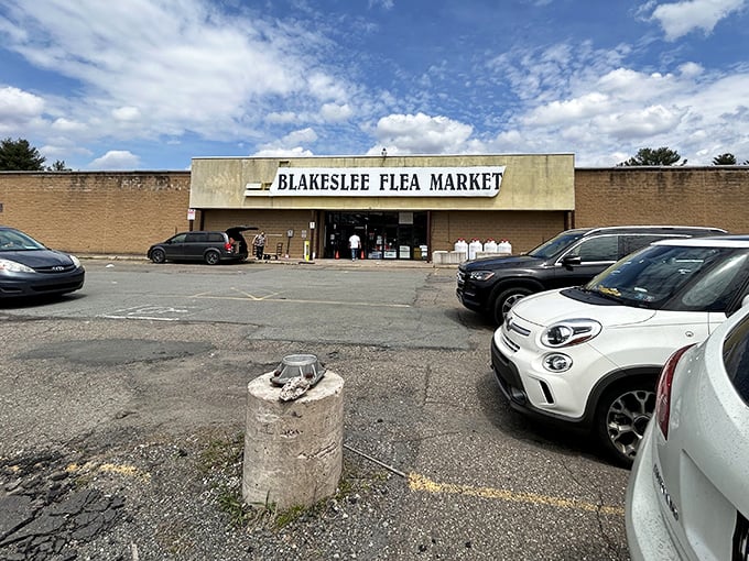 The unassuming exterior hides a treasure trove that'll make your weekend infinitely more interesting than scrolling through social media.