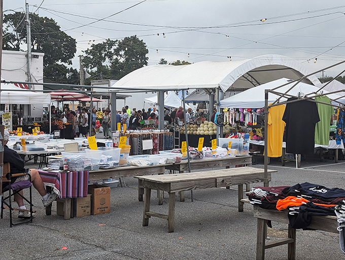 The outdoor market sprawls like a treasure hunter's paradise where one person's garage cleanout becomes your Tuesday adventure.