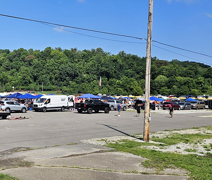The Sunday morning pilgrimage begins! Rows of canopies stretch across the Bridgeville landscape like a treasure hunter's promised land.
