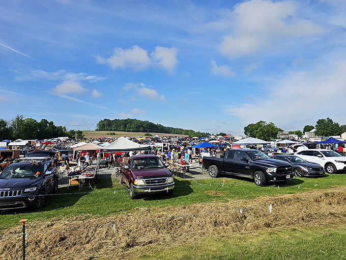 A treasure hunter's paradise stretches to the horizon under perfect Pennsylvania skies. Thirty bucks in your pocket never felt so full of possibility.
