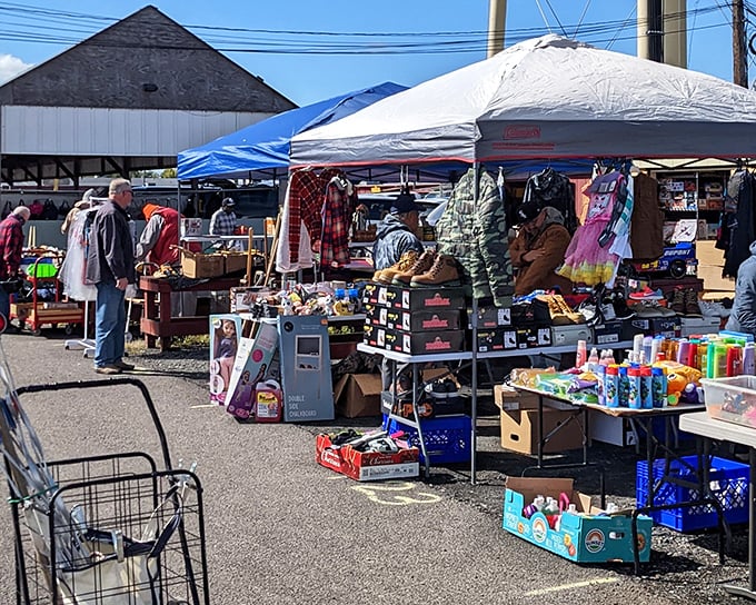 The outdoor flea market comes alive on sunny days, where treasure hunters navigate a maze of pop-up tents and unexpected finds.