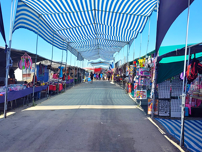 Blue and white striped canopies create a shaded runway of possibilities, where treasures await at every turn of the Pasco Flea Market.