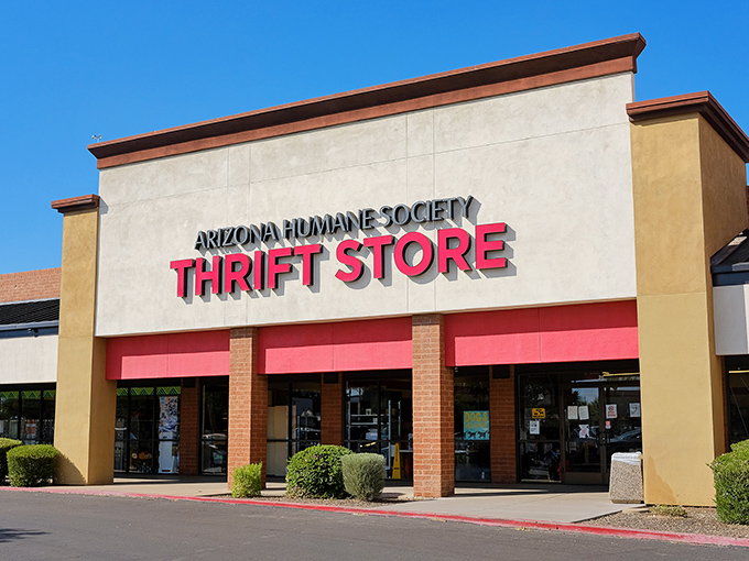 The desert sun gleams off this treasure trove's facade, where bargain hunters and animal lovers unite under one charitable roof.
