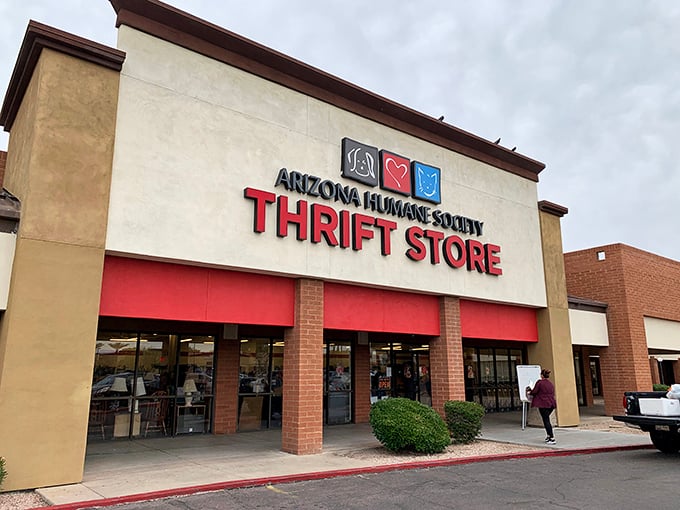 The desert sun gleams off this treasure trove's facade, where bargain hunters and animal lovers unite under one charitable roof.