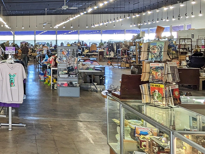 The brick facade and green awnings of the Humane Society Thrift Store welcome bargain hunters like a retail oasis in the desert heat.