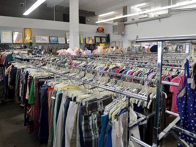 Rack after glorious rack of potential. The clothing section stretches like an endless buffet of fashion possibilities waiting to be sampled.
