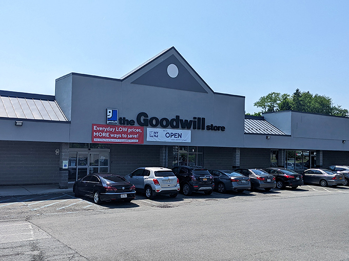 Welcome to thrift paradise &ndash; where your grandmother's donated treasures become your new favorite finds.