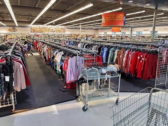 A rainbow of possibilities awaits in Goodwill's clothing section, where yesterday's fashion becomes tomorrow's unique style statement.