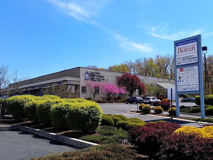 The vibrant landscaping outside Care & Share practically shouts "treasure hunting paradise ahead" before you even step inside.