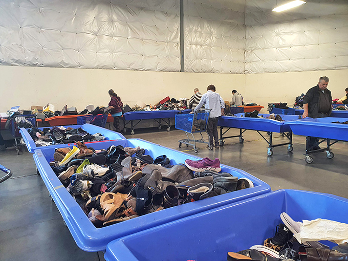 Treasure hunt mode: ON! These giant blue bins might look chaotic, but they&rsquo;re actually overflowing with hidden gems just waiting to be discovered. Welcome to one of Washington&rsquo;s most thrilling bargain-hunting spots!