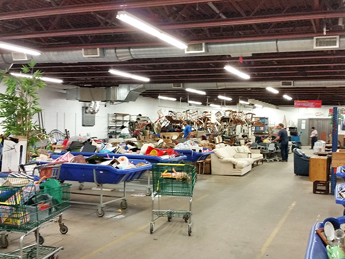 Welcome to treasure hunter paradise! Shopping carts stand ready for your expedition into Madison's most adventurous retail experience.