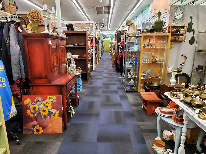 Long aisles of carefully arranged treasures beckon you deeper into this wonderland of nostalgia. Every turn reveals another decade waiting to be rediscovered.