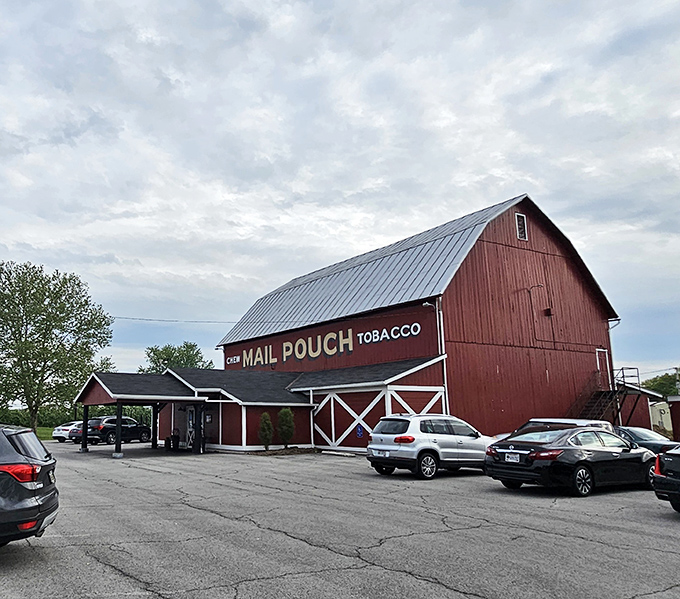 The iconic red barn with its "Mail Pouch Tobacco" sign stands proudly against the Ohio sky, a beacon for hungry travelers seeking carnivorous delights.