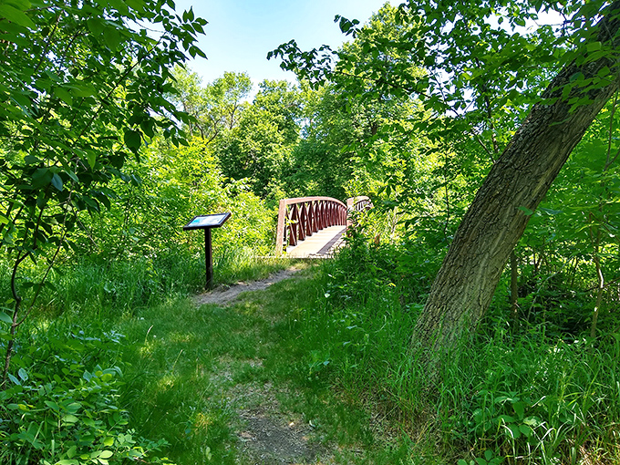 A wooden footbridge beckons through the lush greenery, promising adventure just beyond the bend. Nature's version of "follow the yellow brick road."