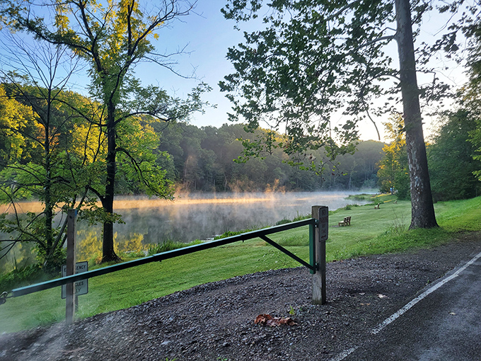 Morning mist hovers over the lake like nature's own special effect, creating a moment of magic worth waking up early for.