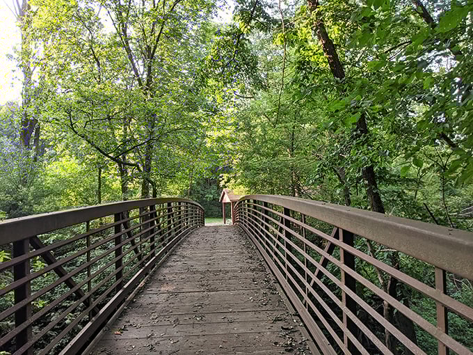 Those towering trees create a cathedral of green that'll make you forget you're still in South Dakota.