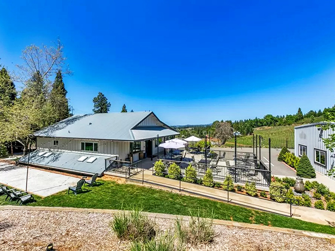 Aerial paradise! Camino's sprawling pine forests and scattered homesteads offer that "million-dollar view" without the million-dollar price tag.