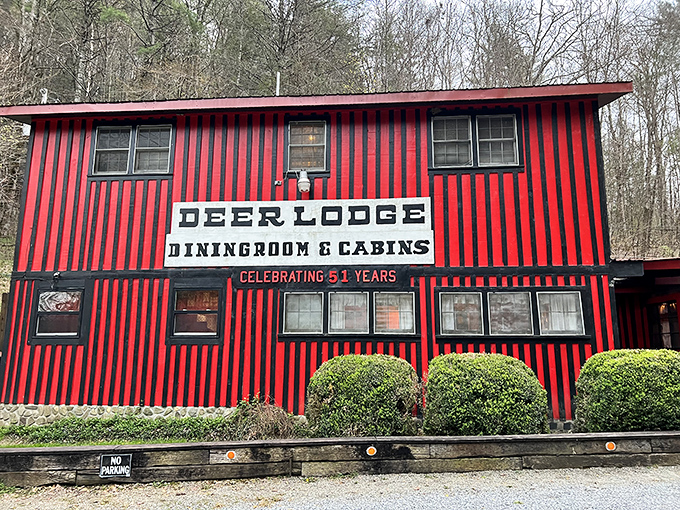 The unmistakable red-and-black striped exterior of Deer Lodge stands out like a lumberjack's dream home in the North Georgia wilderness.