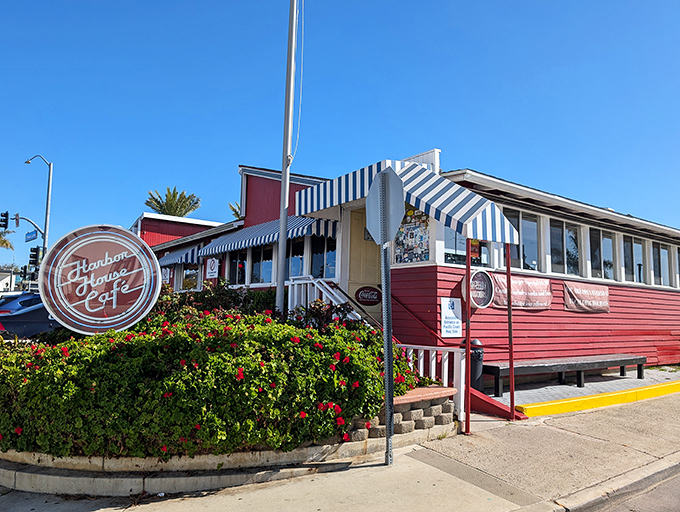 Morning sunshine bathes Harbor House Cafe's cheerful red exterior, where vibrant bougainvillea provides a colorful welcome that's as warm as the food waiting inside.