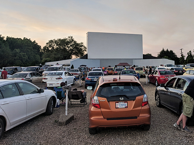 Cars line up in neat rows like eager moviegoers at a premiere, each vehicle a private theater box under the open sky.