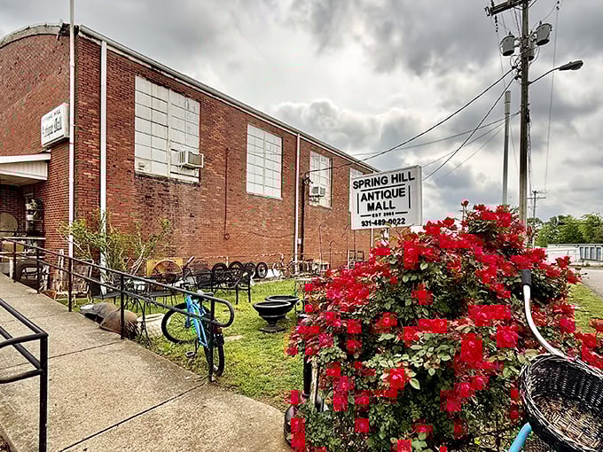 The unassuming brick exterior of Spring Hill Antique Mall hides a universe of treasures within, like finding the Tardis of trinkets in Tennessee.