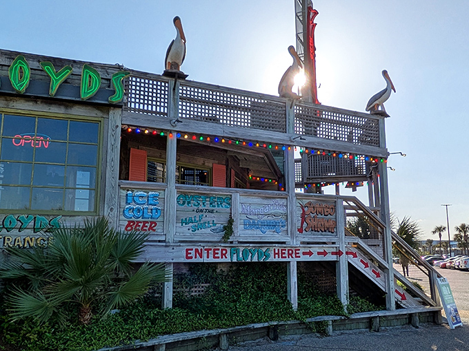 Pelican sentinels stand guard at this weathered seafood haven, where colorful lights promise oceanic treasures within.