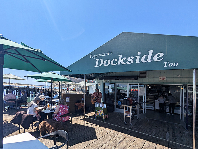 The perfect California seafood experience doesn't hide behind fancy facades. Tognazzini's Dockside Too delivers ocean-to-plate magic with that laid-back coastal charm we all crave.