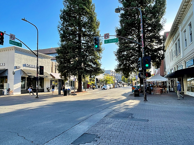 The intersection of Fourth and D Streets marks the heart of Santa Rosa's walkable downtown, where towering redwoods provide natural air conditioning on summer days.