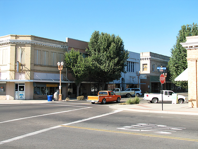 Downtown Selma sits quietly under the bright California sun, where vintage storefronts and tree-lined streets capture the charm of small-town life.