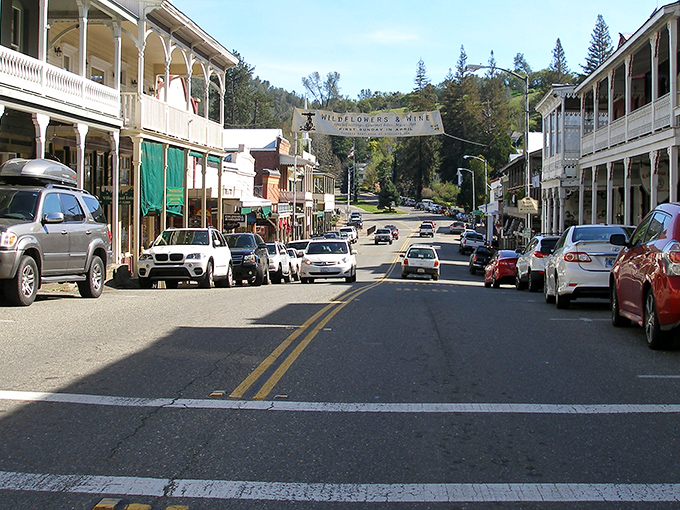 Main Street Sutter Creek stretches before you like a living postcard from the Gold Rush era, complete with historic storefronts and that small-town charm Hollywood tries so hard to recreate.