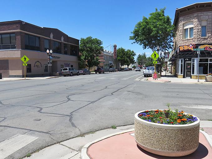 Downtown Alamosa feels like a movie set where small-town charm meets mountain majesty. Those historic brick buildings have stories to tell if you'll just slow down to listen.