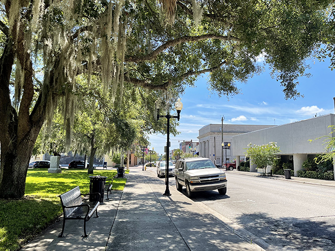 Spanish moss drapes over Palatka's streets like nature's own awnings, offering shade and Southern gothic charm in equal measure.