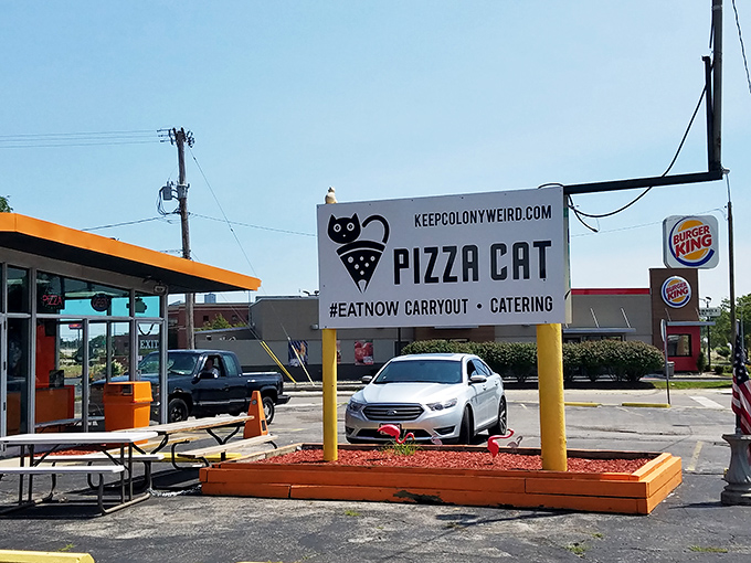 Pizza Cat's roadside sign proudly displays its playful logo and "Keep Colony Weird" motto&mdash;a perfect introduction to this unconventional Toledo treasure.