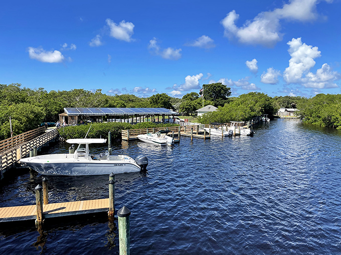 The dock of dreams! This serene marina serves as your gateway to paradise, where boats wait patiently to ferry adventure-seekers to untouched shores.