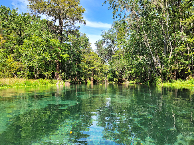 Crystal-clear waters reveal a limestone canvas below, painted with swaying aquatic plants and darting fish&mdash;Mother Nature showing off her watercolor skills.