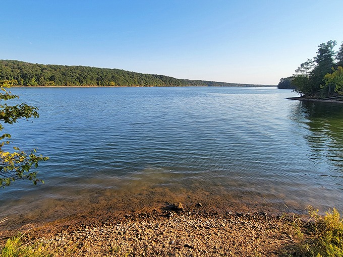 The kind of view that makes you question why you ever waste time indoors. Mississippi's hidden gem sparkles under the sun.