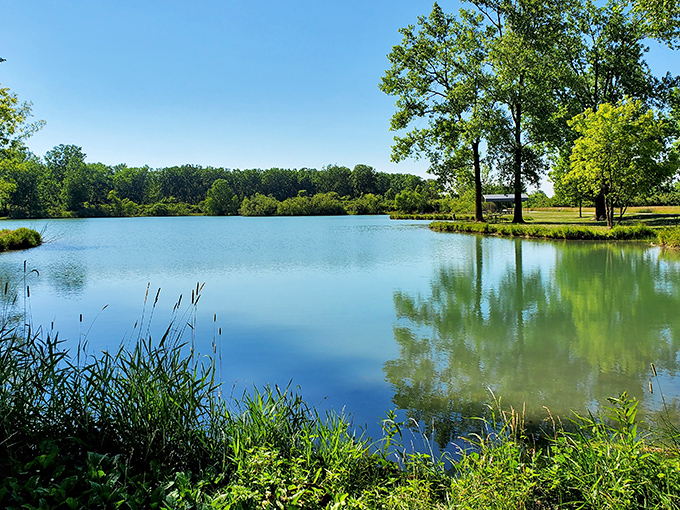 Mirror, mirror on the lake &ndash; nature's own Instagram filter turns Ohio's hidden gem into a masterpiece of reflection and serenity.