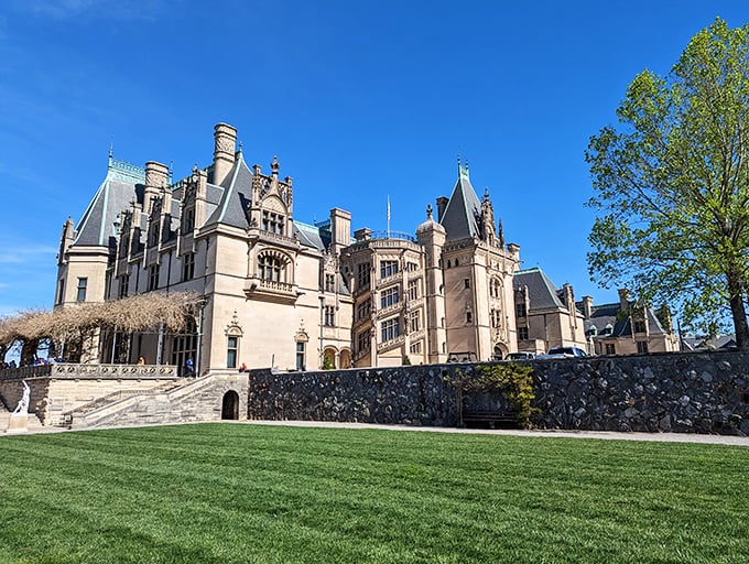 Morning mist settles in the valley below Biltmore, creating a dreamscape where America's largest private home appears to float above the clouds like a limestone island.