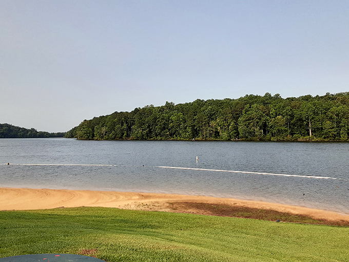 Mirror-like waters reflect nature's masterpiece at Lake Lurleen, where even the trees seem to admire their own beauty in this perfect moment of stillness.