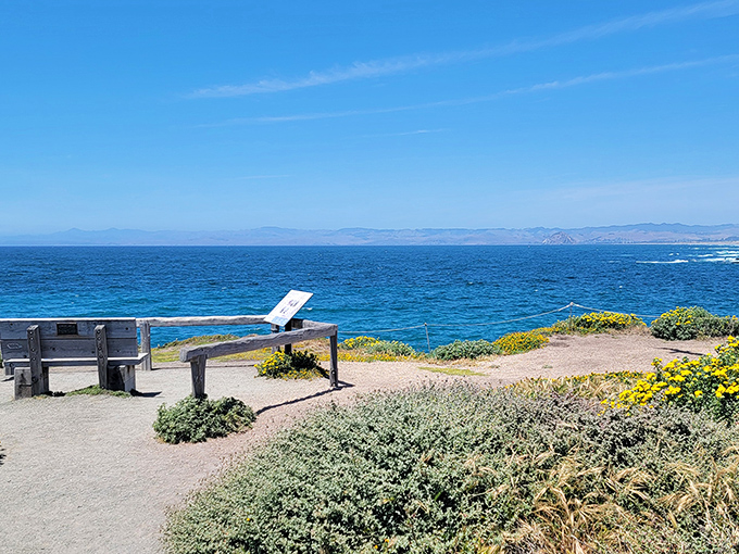 Nature's infinity pool without the resort prices. This panoramic viewpoint offers the kind of blue-on-blue horizon that makes smartphone cameras weep with inadequacy.